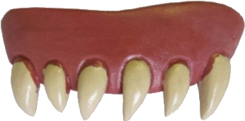 Horror Teeth Dentures - Creative Teeth Animal Original - Free ...