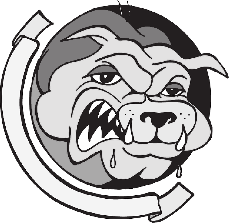 Download Mb Image/png - Mad Dog PNG Image with No Background - PNGkey.com