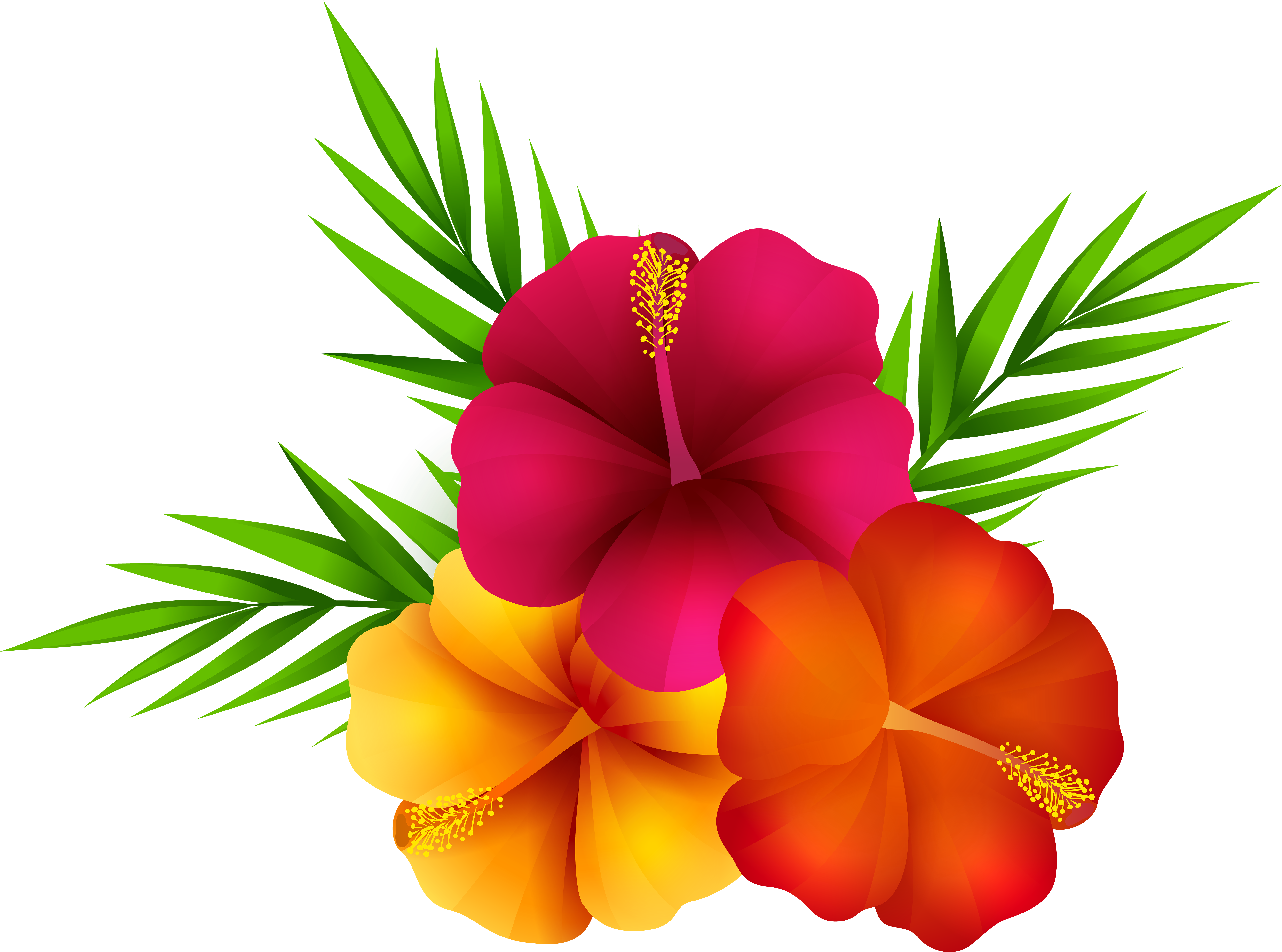 Exotic Flowers Png Clip Art Imageu200b Gallery Yopriceville Tropical