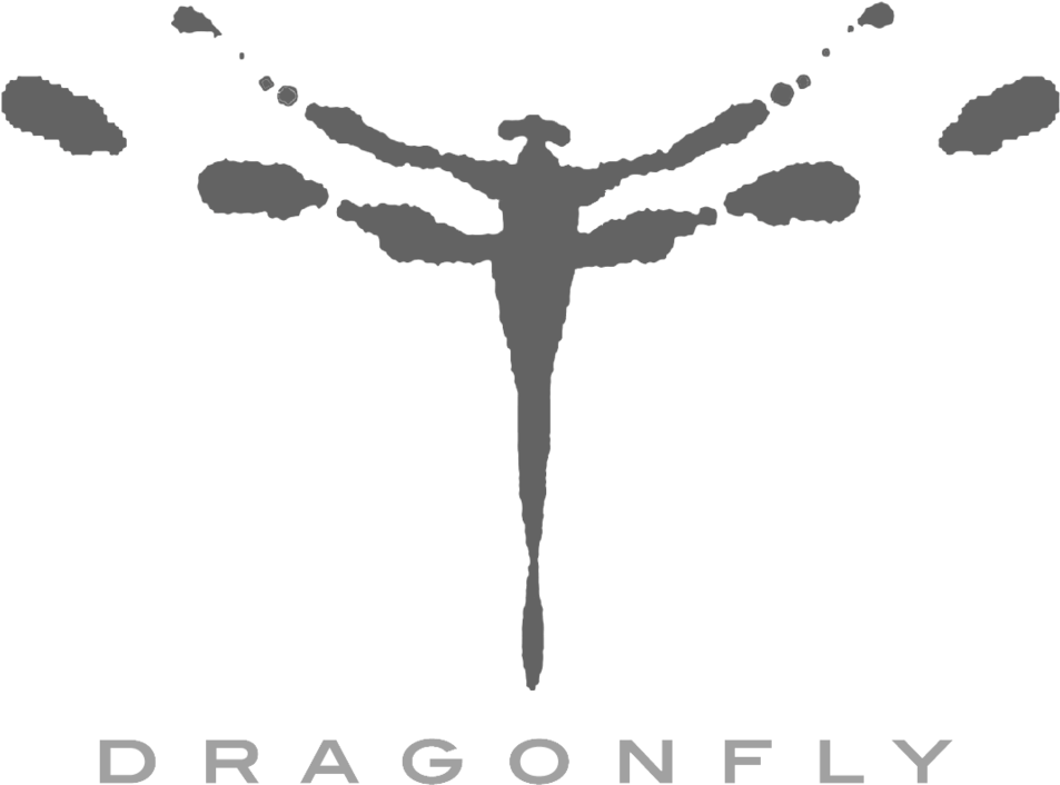 Download Dragonfly-logo PNG Image with No Background - PNGkey.com