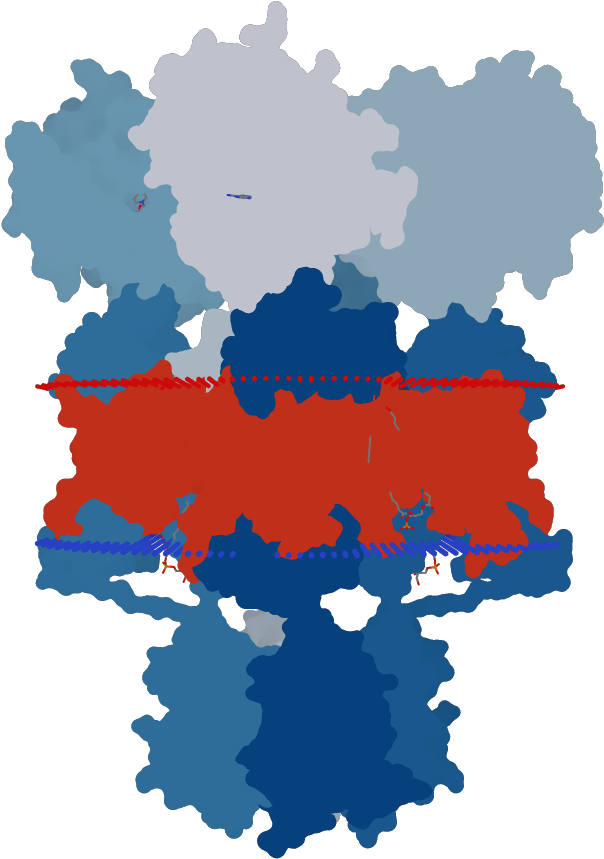 Download Transmembrane Flat Surface Display Opm - Graphic Design PNG ...