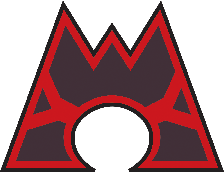 Download Team Magma Logo Png PNG Image with No Background - PNGkey.com