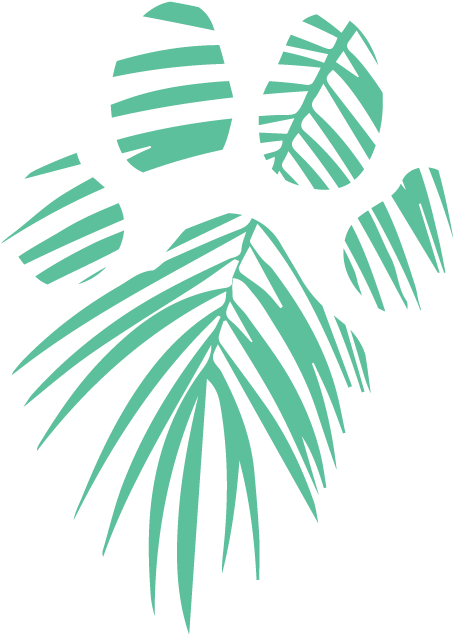 Download Icon Logo Green Web[1] PNG Image with No Background - PNGkey.com