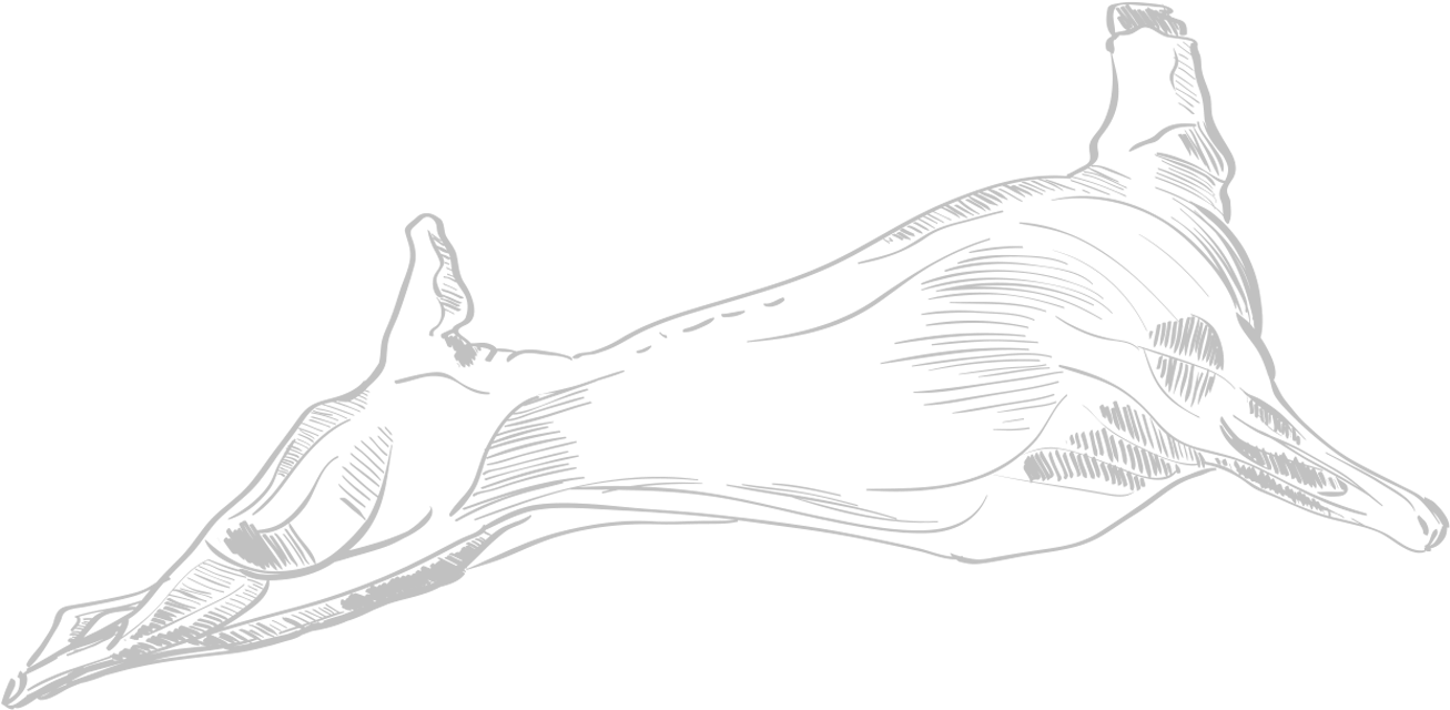 Rabbit Meat - Free Transparent PNG Download - PNGkey