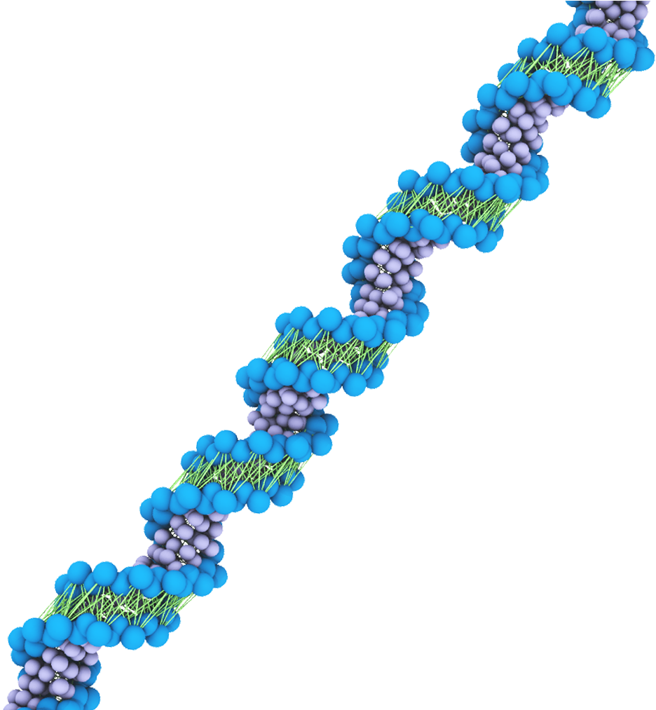 Download Dna - Dna Martini Force Field PNG Image with No Background ...