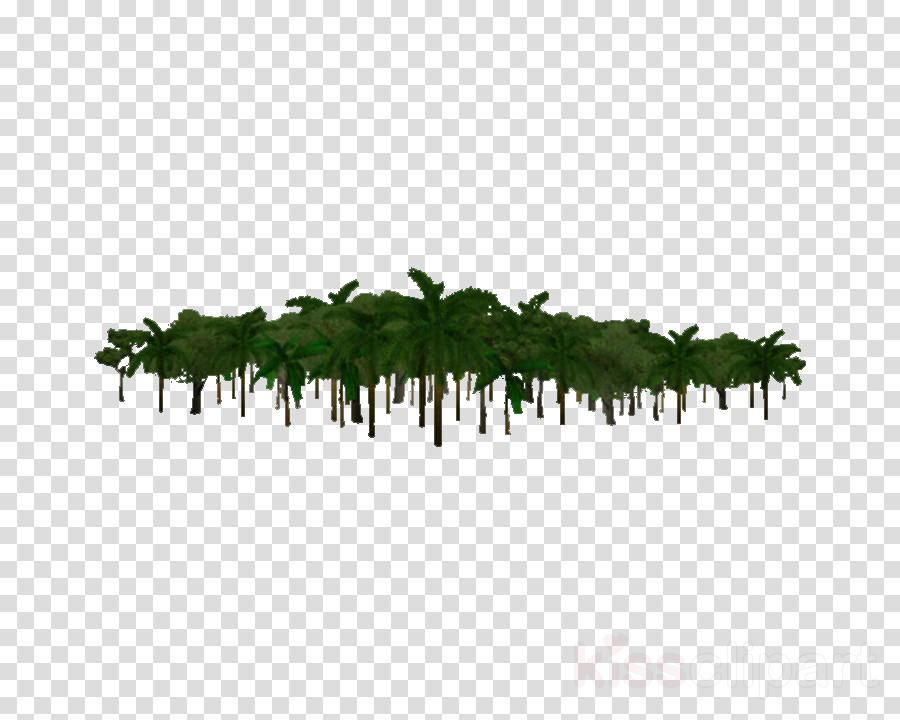 Download Jungle Trees Transparent Background Clipart Jungle - Jamaica ...