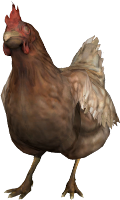 Download White Hen Png Image - Counter Strike Chicken Png PNG Image ...