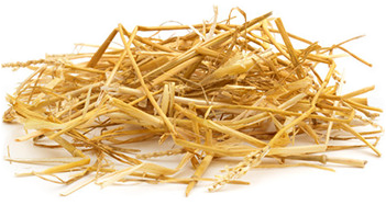 Png Hay Transparent Hay - Needle In The Haystack - Free Transparent PNG ...