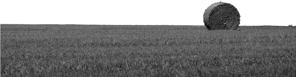 Download Straw PNG Image with No Background - PNGkey.com