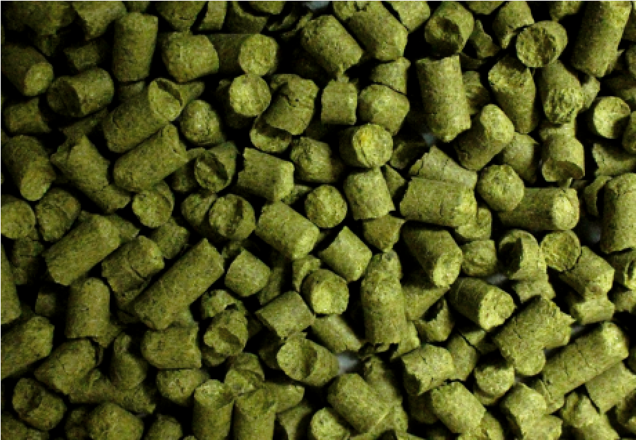 Download Hops PNG Image with No Background - PNGkey.com