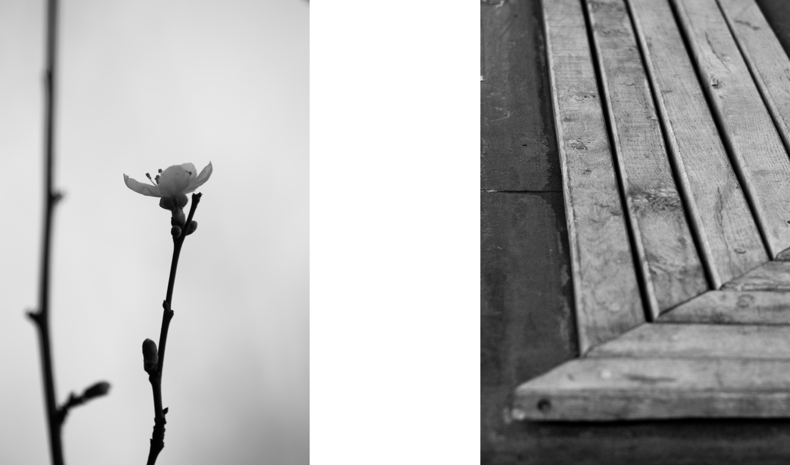 Download Картина12 Картина13 Картина14 Картина15 Картина16 - Monochrome ...