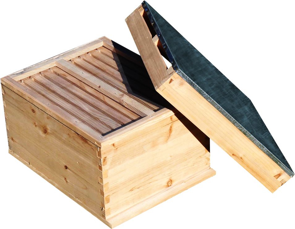 Download Lid PNG Image with No Background - PNGkey.com