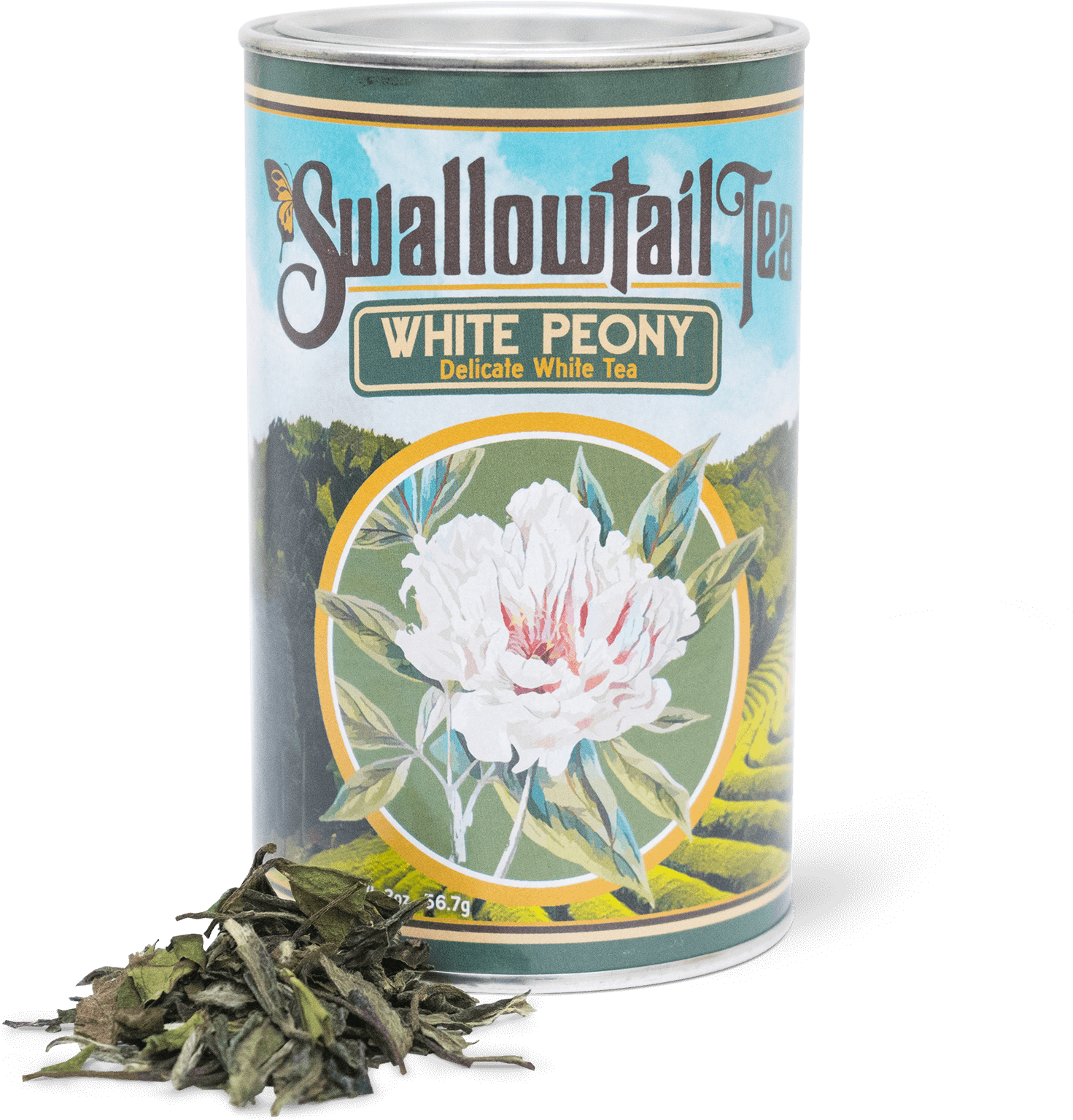 Download Labrador Tea PNG Image with No Background - PNGkey.com