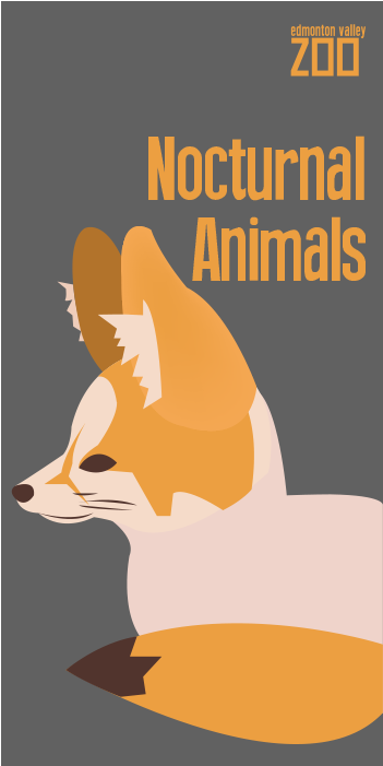 Download Fennec Fox Banner - Fennec Fox PNG Image with No Background ...
