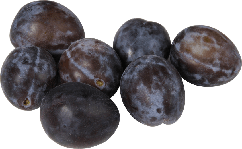 Download Free Png Plum Png Images Transparent - Damson Fruit Png PNG ...