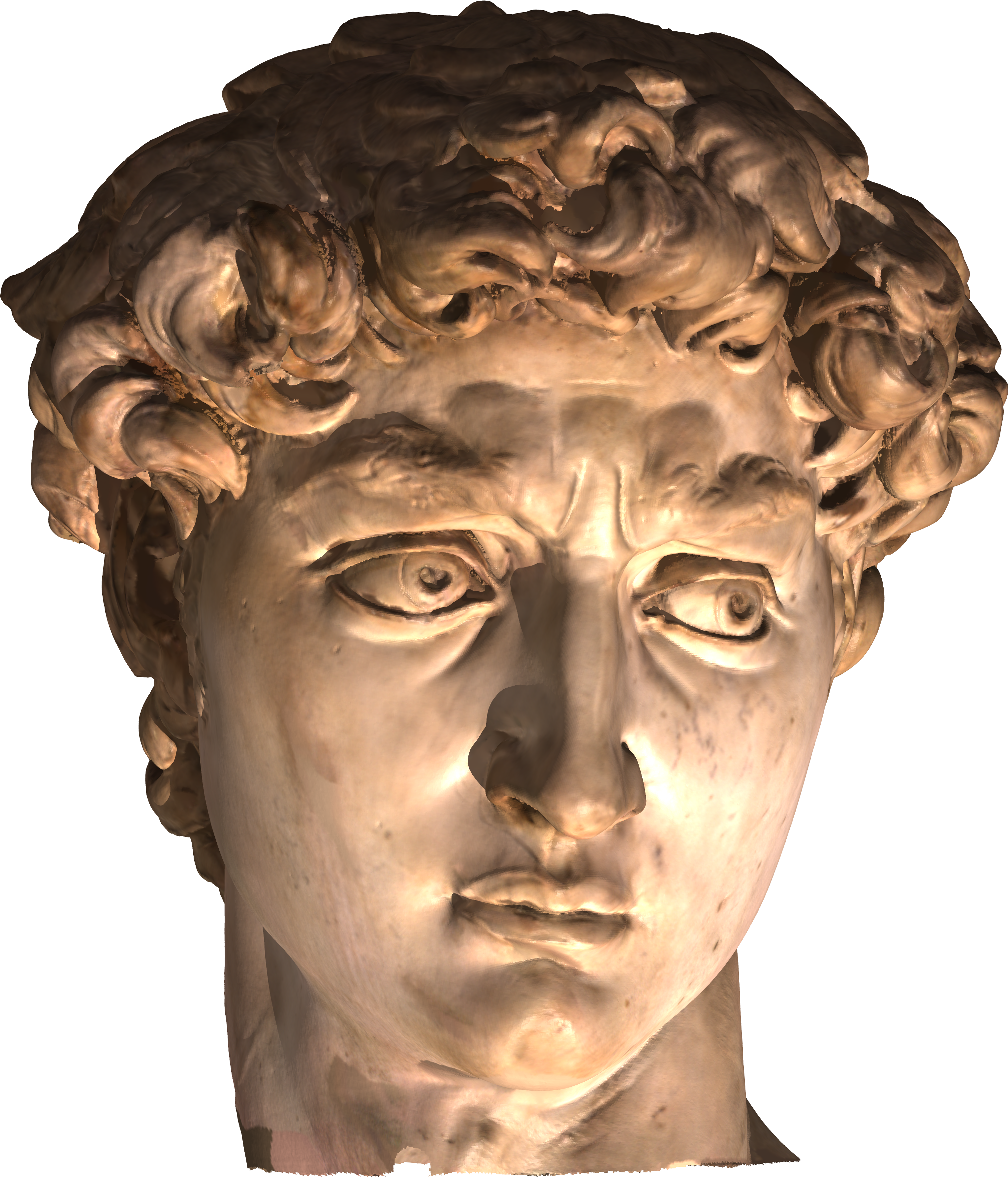 Statue Of David Head