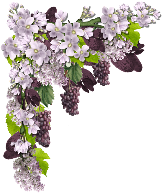 Download Bordures,tubes Coins,corners - Clip Art PNG Image with No ...