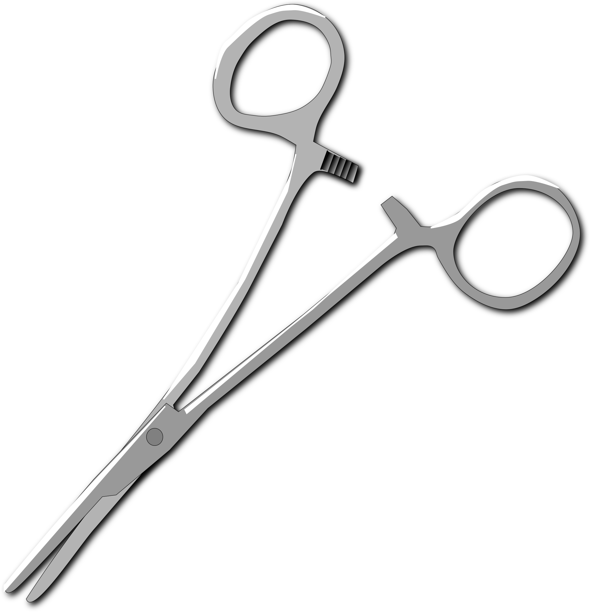 Download Hemostat Image Png - Surgery PNG Image with No Background ...