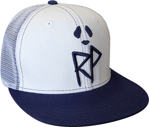Download Blue/white Snapback PNG Image with No Background - PNGkey.com