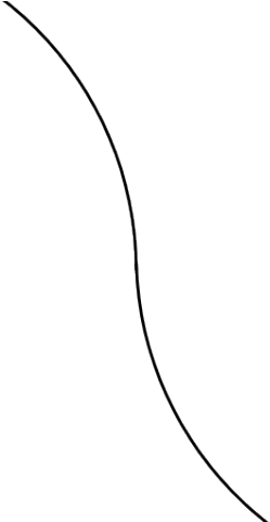 Download Lines Clipart Thin - Line Art PNG Image with No Background ...
