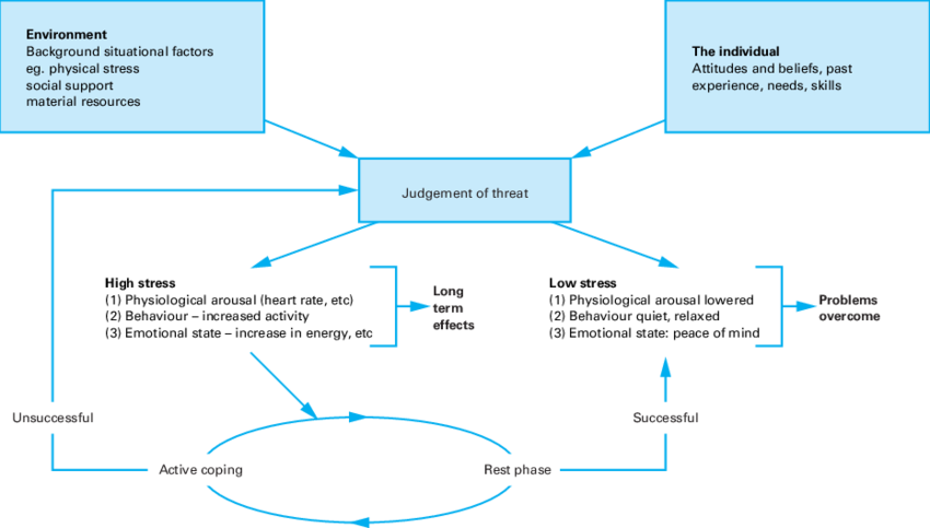 Download A Model Of Stress And Its Management - Factors Influencing Job ...