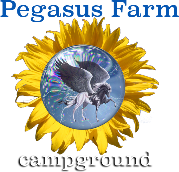Download Pegasus Farm Campground - Pegasus PNG Image with No Background - PNGkey.com
