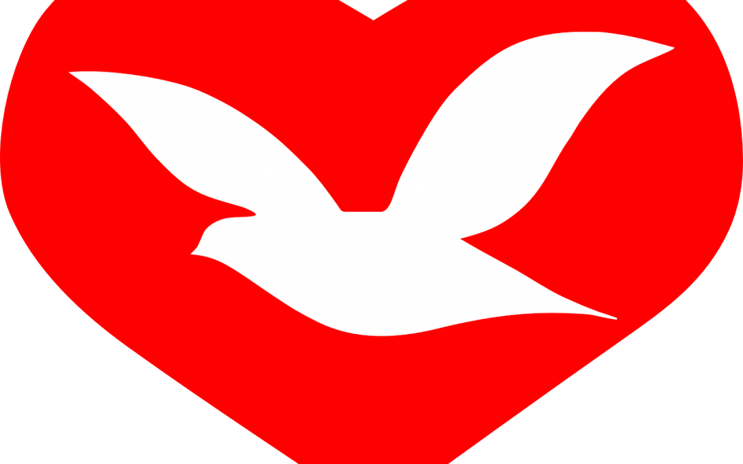 Download Death, Dying, Grace And Peace - Peace Grace PNG Image with No ...