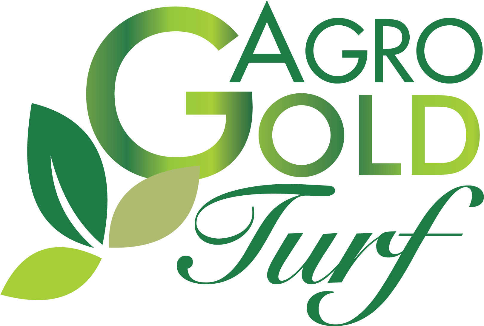 Download Agro Gold Turf - Graduation Ceremony PNG Image with No ...