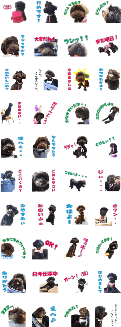 Download Cute Little Mix Dog Anzu - Ape PNG Image with No Background ...