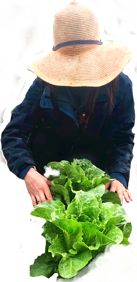 Download Farmer - Spring Greens PNG Image with No Background - PNGkey.com