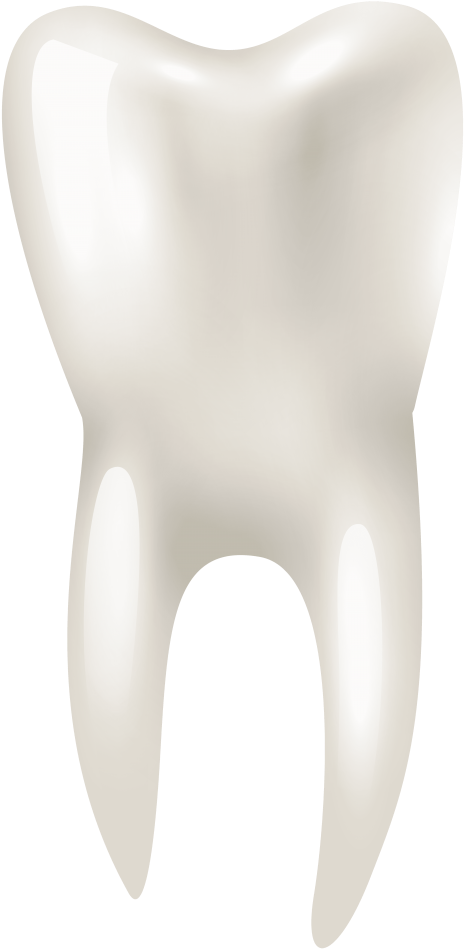 Download Free Png Tooth Png Images Transparent - Portable Network ...