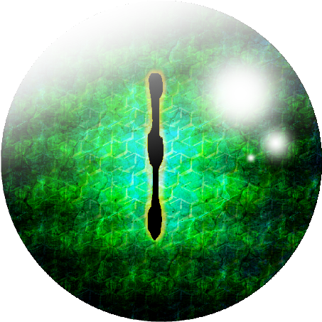 Snake Eye Png - Snakes - Free Transparent PNG Download - PNGkey