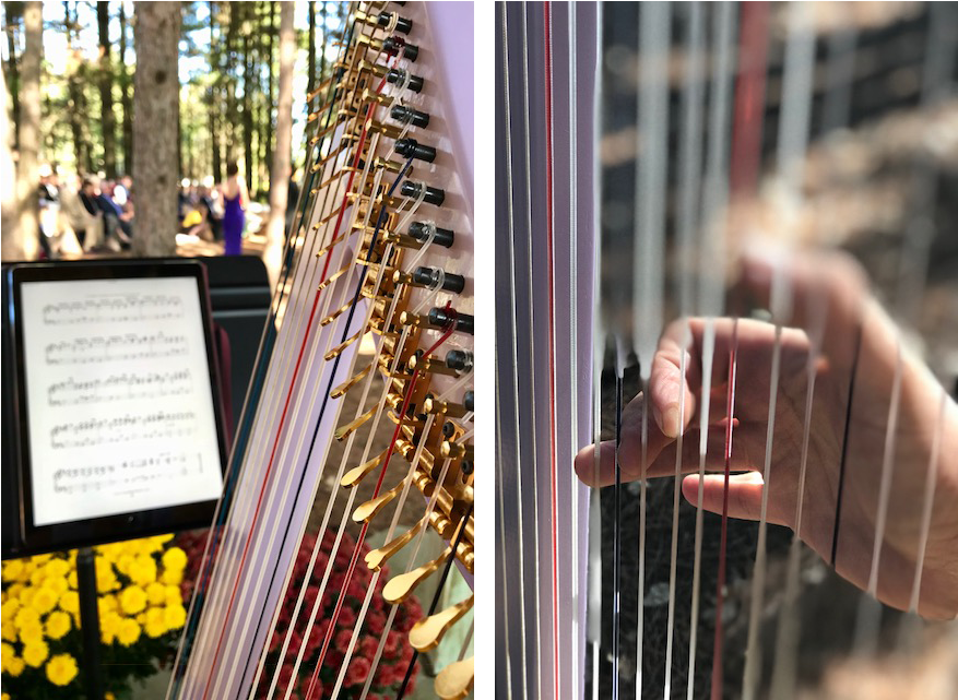 Download Here Are A Few Music Samples - Art PNG Image with No ...