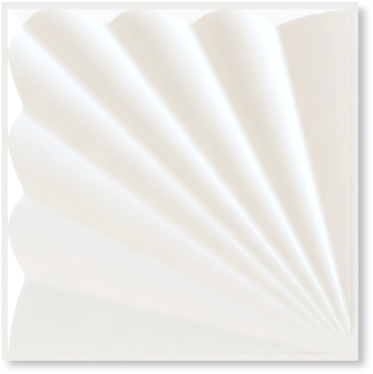 Conch - Paper - Free Transparent PNG Download - PNGkey