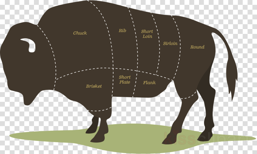 Download Bison Meat Cuts Clipart American Bison Steak Meat - North ...