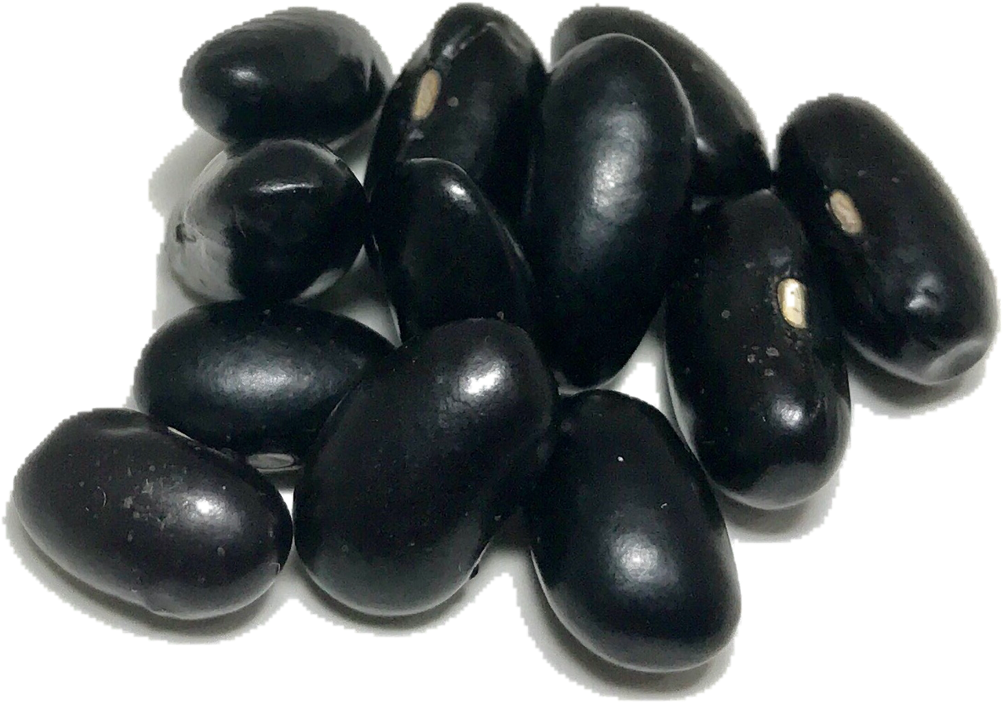 Download Bean PNG Image with No Background - PNGkey.com