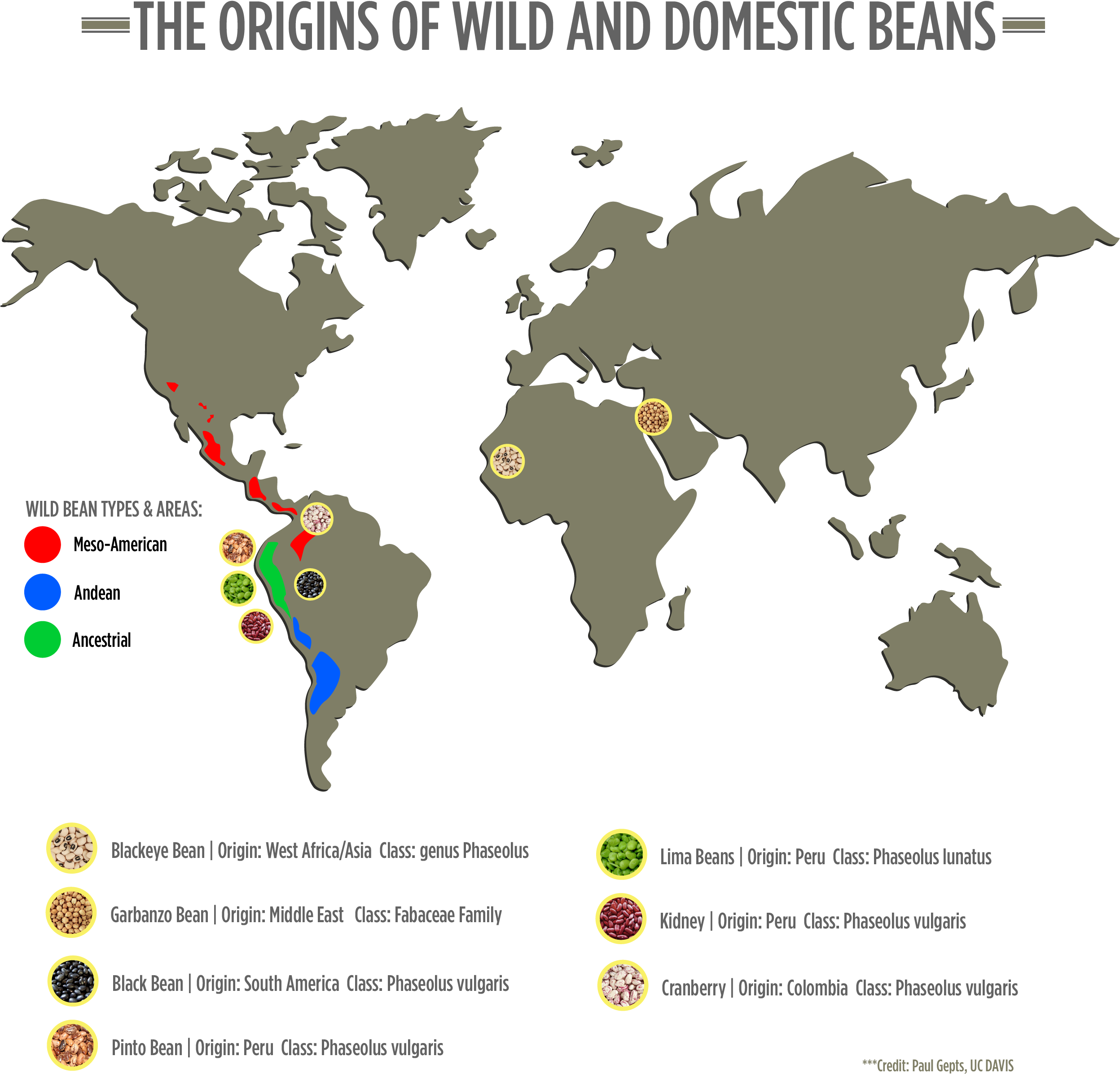 Download Map Of Beans - World Map Green Transparent PNG Image with No ...