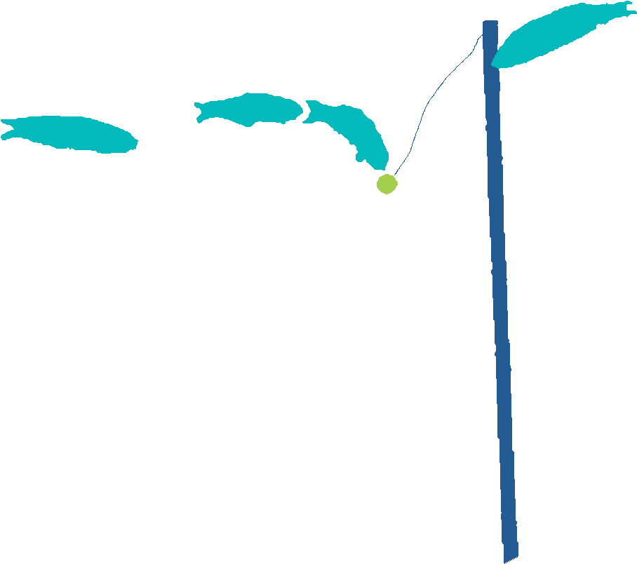 Download Seagrass Cover And Composition - Icon PNG Image with No ...