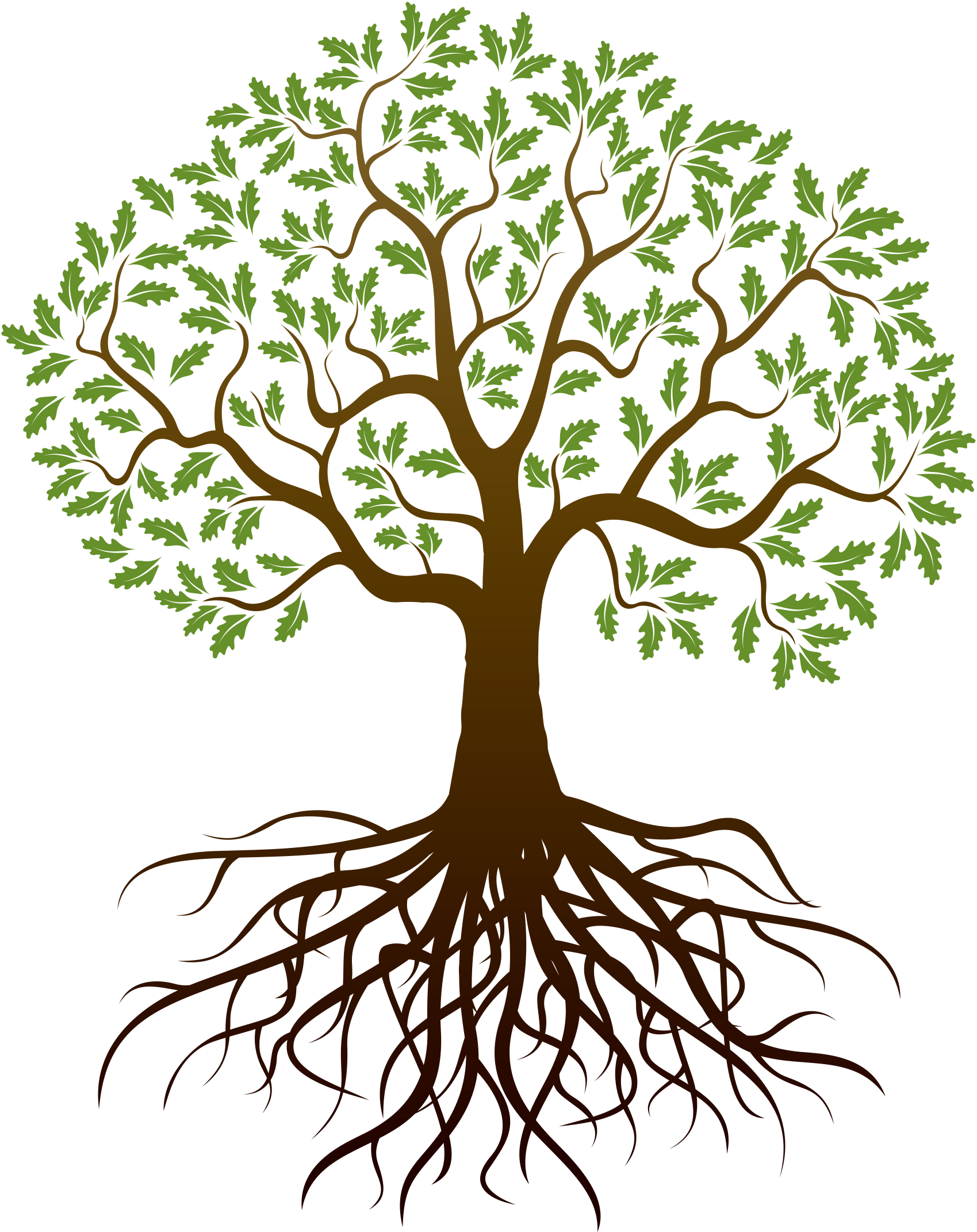 Arbol Con Raices Png Clipart Pinclipart | My XXX Hot Girl Arbol Con Raices Png Clipart Pinclipart | My XXX Hot Girl