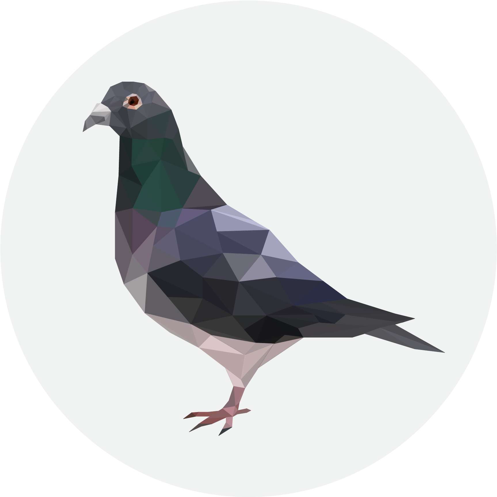 Download Results - Critical Role Metagaming Pigeon PNG Image with No ...
