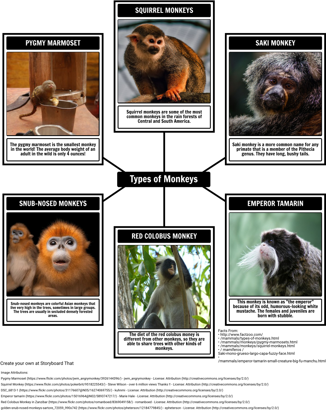 Spider Map - Monkeys - Emperor Tamarin Maps - Free Transparent PNG ...