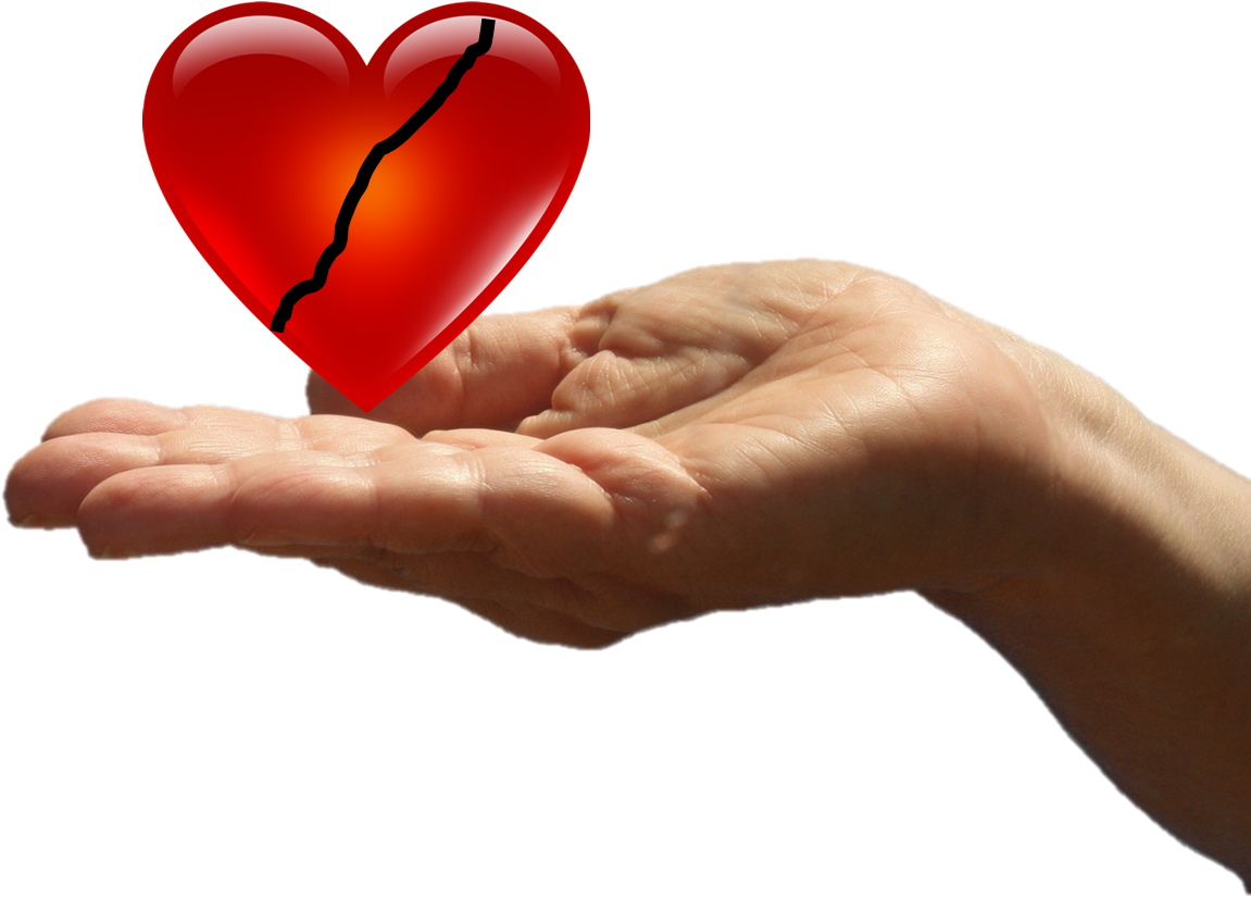 Download Planet Botanix PNG Image with No Background - PNGkey.com