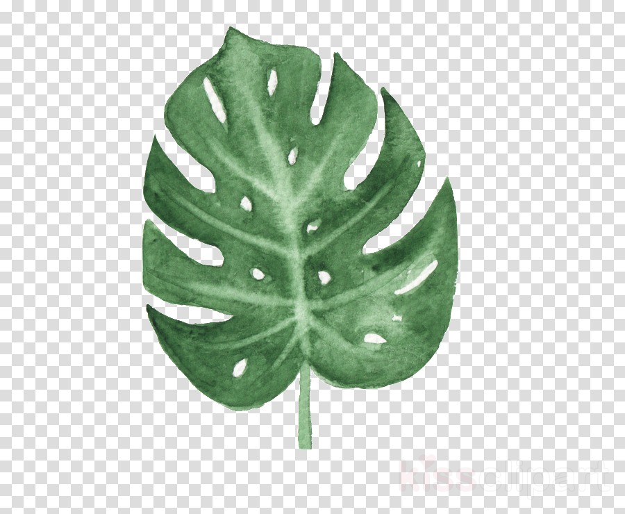 Download Transparent Watercolor Leaf Png PNG Image with No Background ...