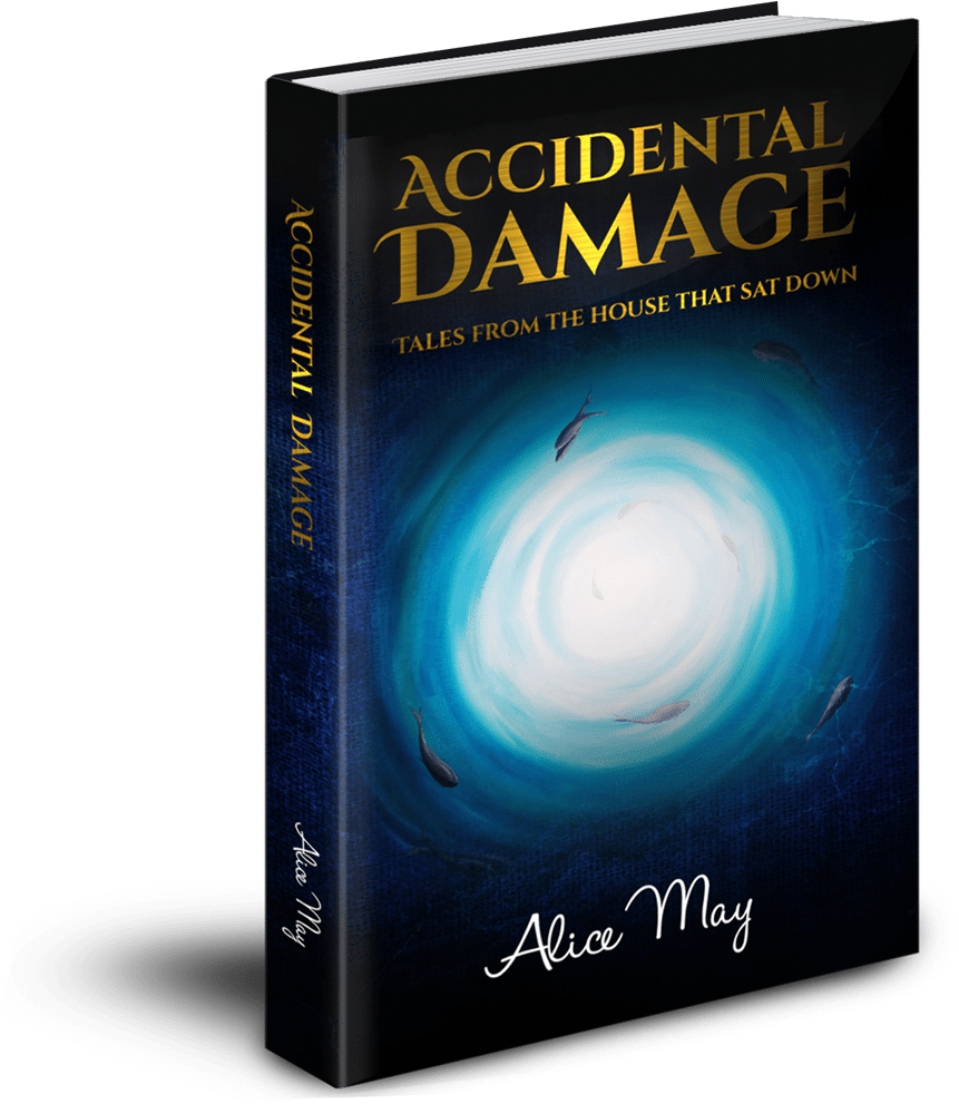Download Accidental Damage 3d Transparent Background - Book Cover PNG ...