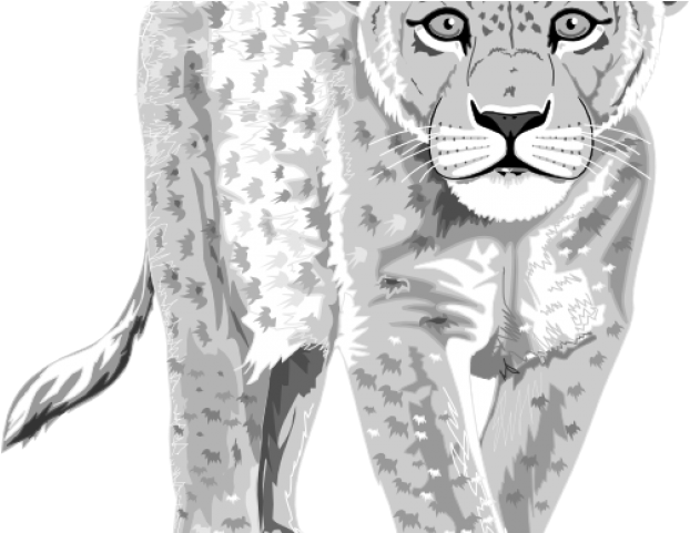 Download Leopard Clipart Clip Art - Leopard Got His Spots Worksheet PNG ...