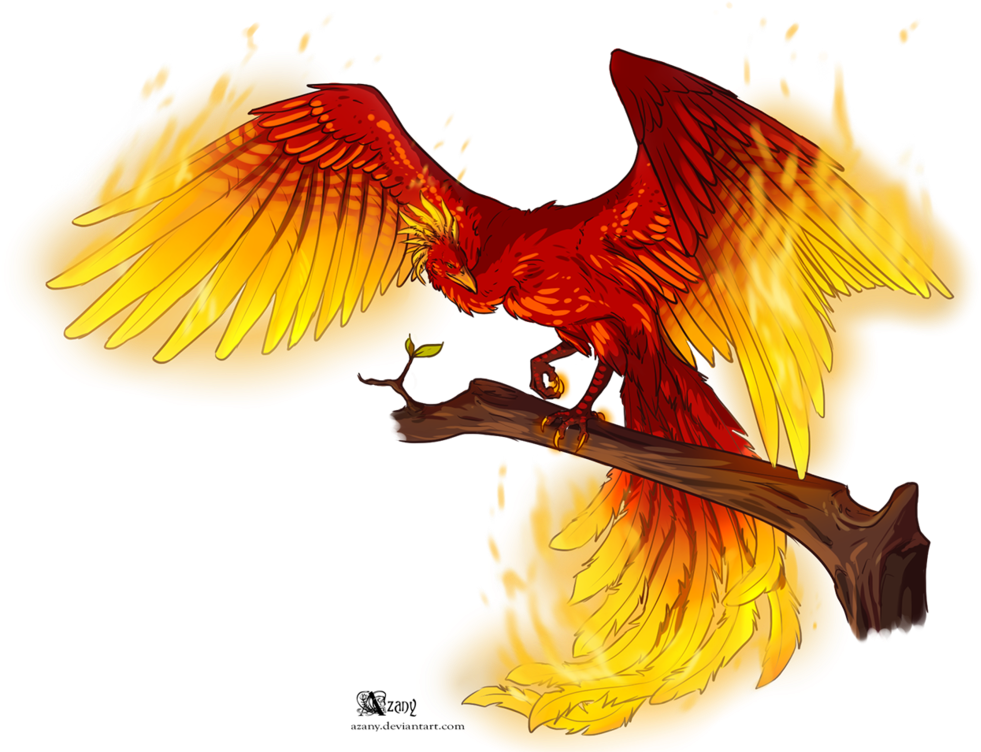 Download Fire Phoenix Png Png Black And White - Fawkes Phoenix ...