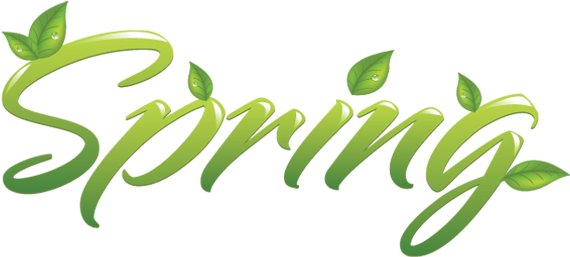 Transparent Pluspng Google Search - Spring Png - Free Transparent PNG ...