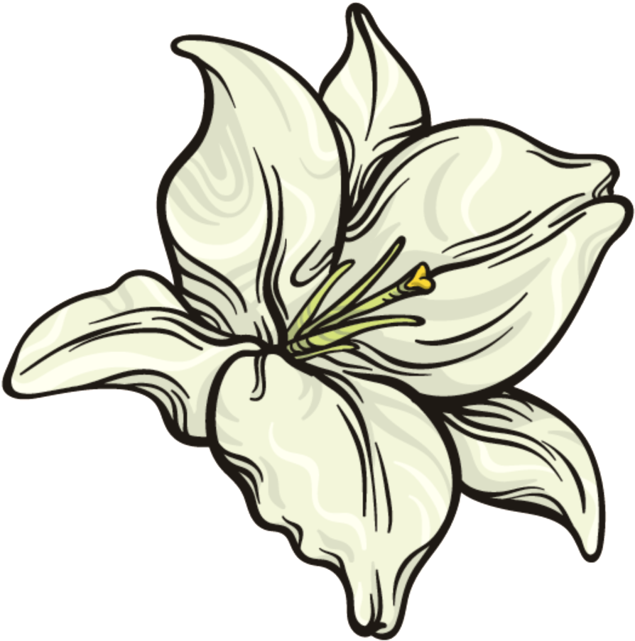 Download This Graphics Is Snow White Flower Png Transparent - Portable ...