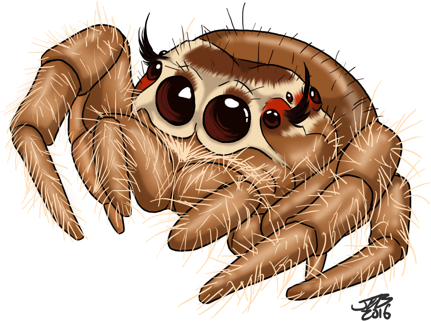 Cute Jumping Spider By Prodigyduck On Deviantart - Jumping Spider ...