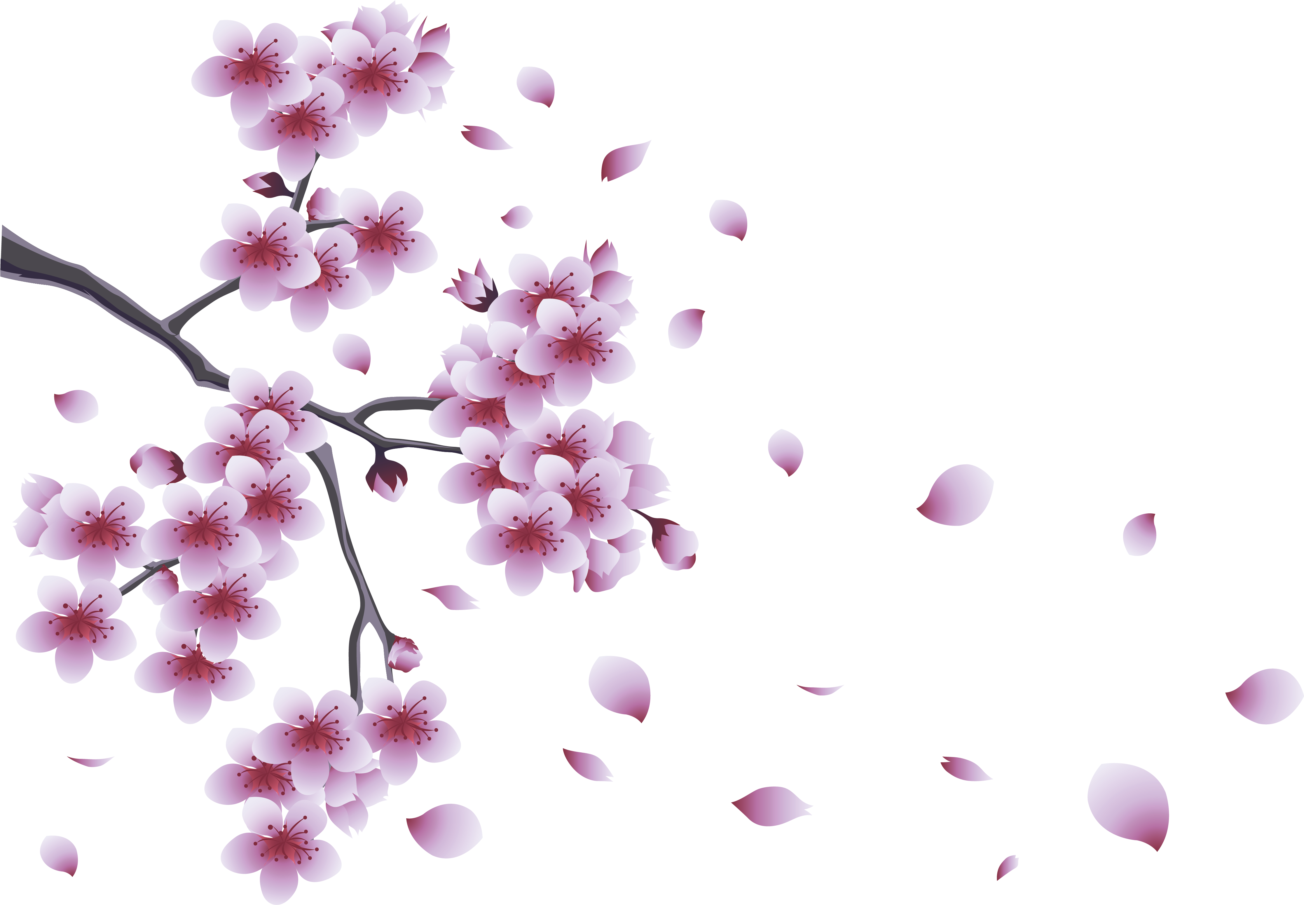 Spring Png Pic - Spring Png - Free Transparent PNG Download - PNGkey